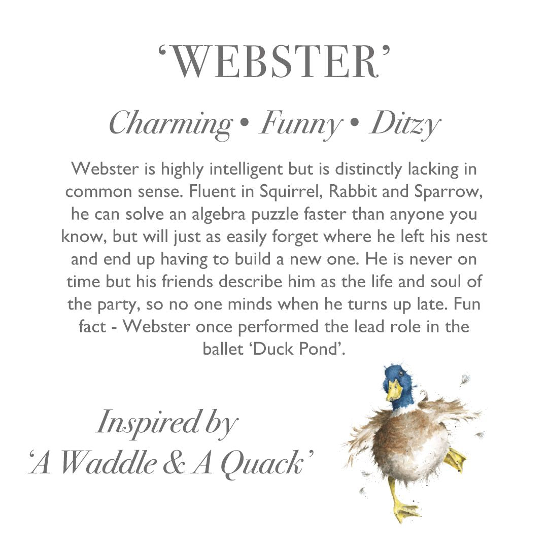 WEBSTER' DUCK CHARACTER| Deconn Flair Unique Gifts
